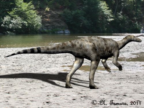 Paleoexhibit: Thescelosaurus assiniboiensis
