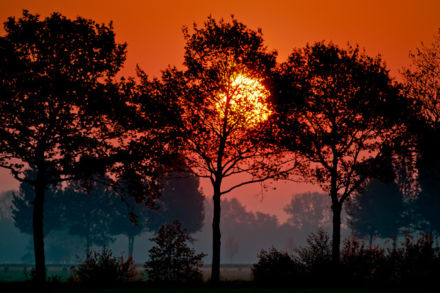 Beelden uit de natuur: Zonsopgang