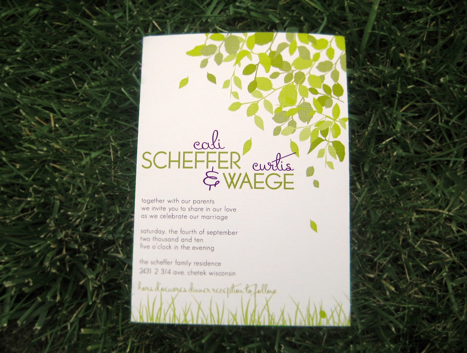 A Mid-Western Love Story: Part I - Saffron Avenue