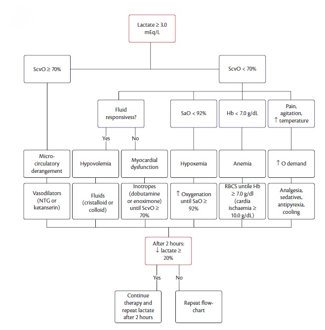 MANAGEMENT OF HYPERLACTATAEMIA - Anesthesiology and Intensive Care
