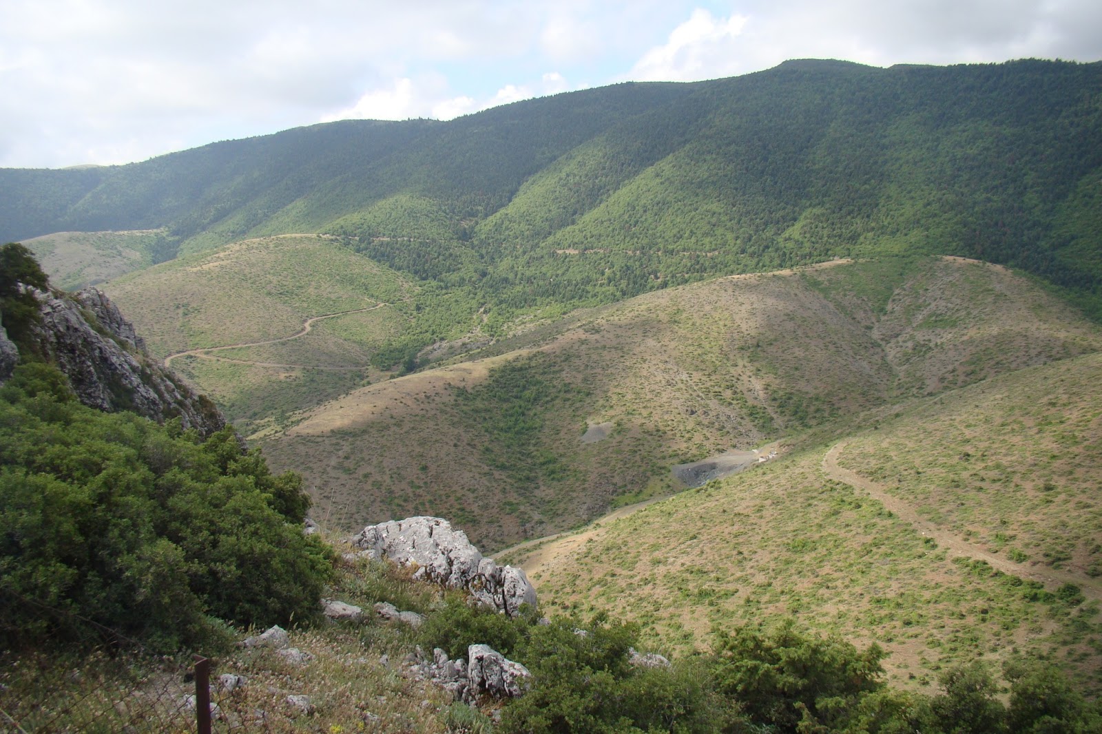 ΤΑ ΝΕΑ ΤΗΣ ΡΟΔΙΑΝΗΣ: ΜΕ ΜΕΓΑΛΗ ΕΠΙΤΥΧΙΑ ΟΙ ΦΕΤΙΝΕΣ ΕΚΔΗΛΩΣΕΙΣ ΣΤΗΝ ΑΝΑΛΗΨΗ