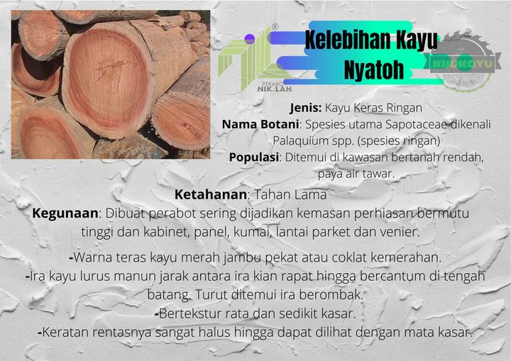 PERABOT NIK LAH: Jenis pokok kayu yang sesuai untuk dijadikan perabot.