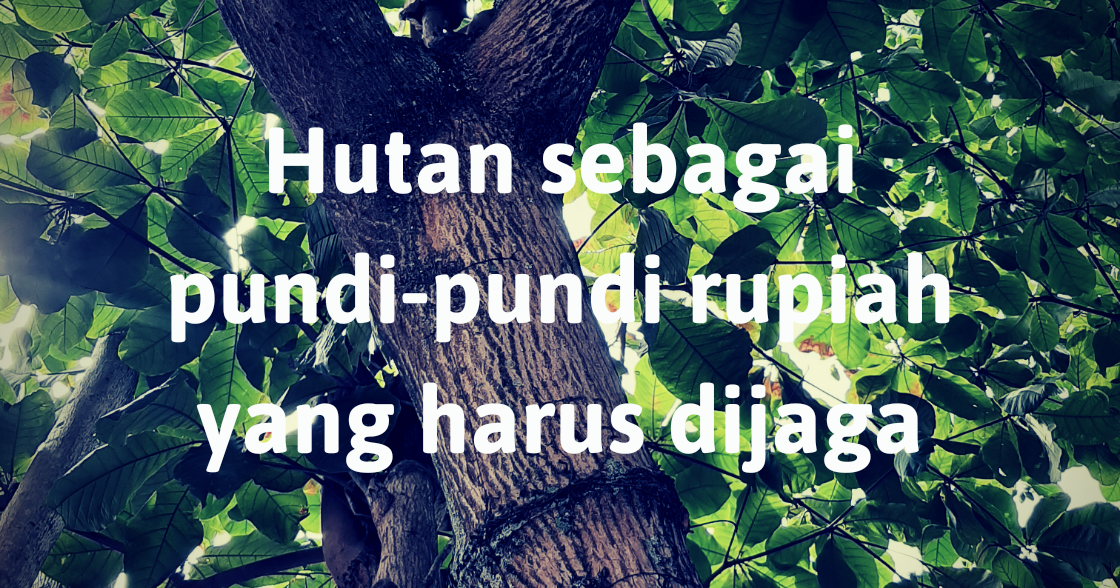 Hutan sebagai pundi-pundi rupiah yang harus dijaga