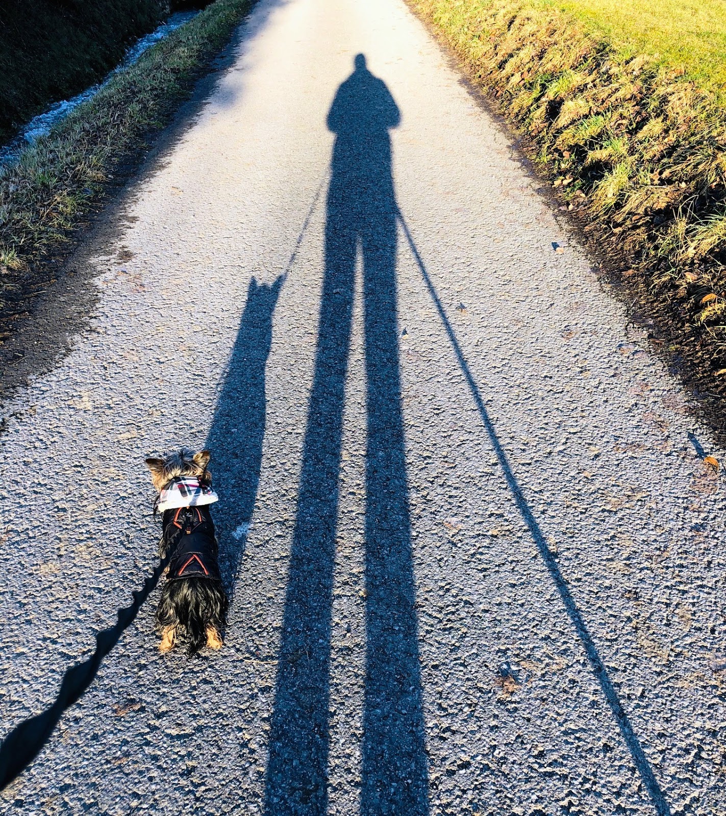 GV-Lichtenstein: Über den eigenen Schatten zu springen ist gar nicht so ... GV-Lichtenstein: Über den eigenen Schatten zu springen ist gar nicht so ...