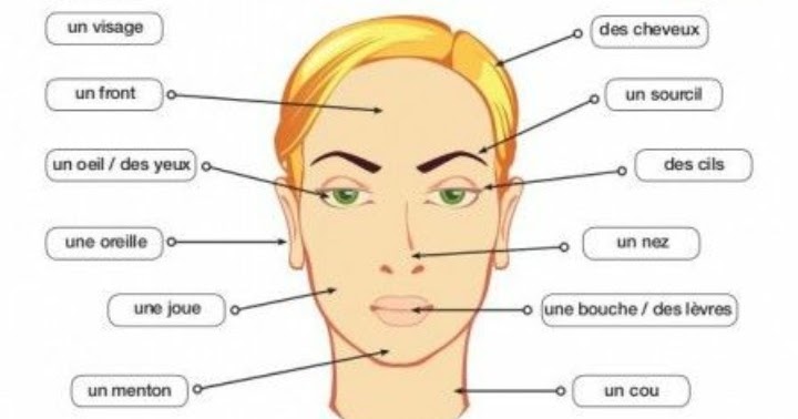 mipizarradelcole: LE VISAGE