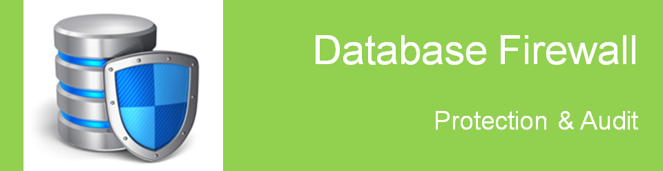 Database Firewall