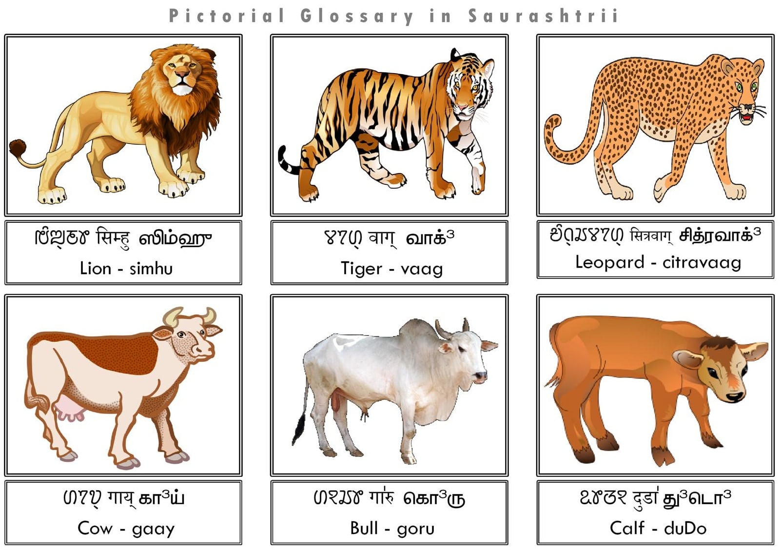 Pictorial Glossary in Saurashtrii