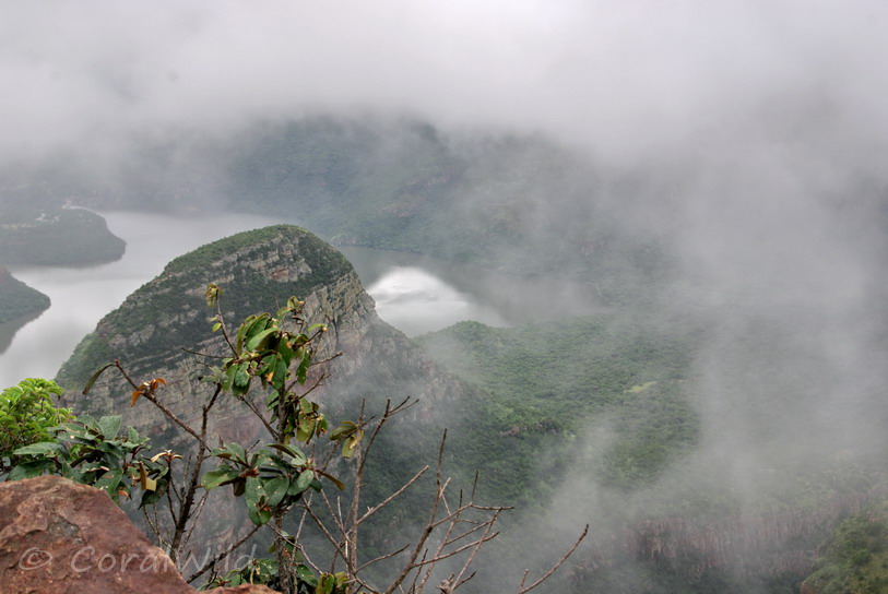 Coral Wild - A Safari Guides Diary: The Green Canyon