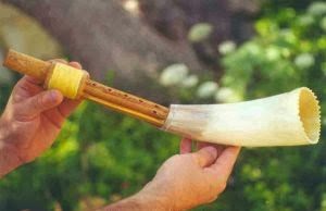 INSTRUMUNDO Instrumentos Musicales: Iz-Zaqq, Iż-Żaqq, Żaqq