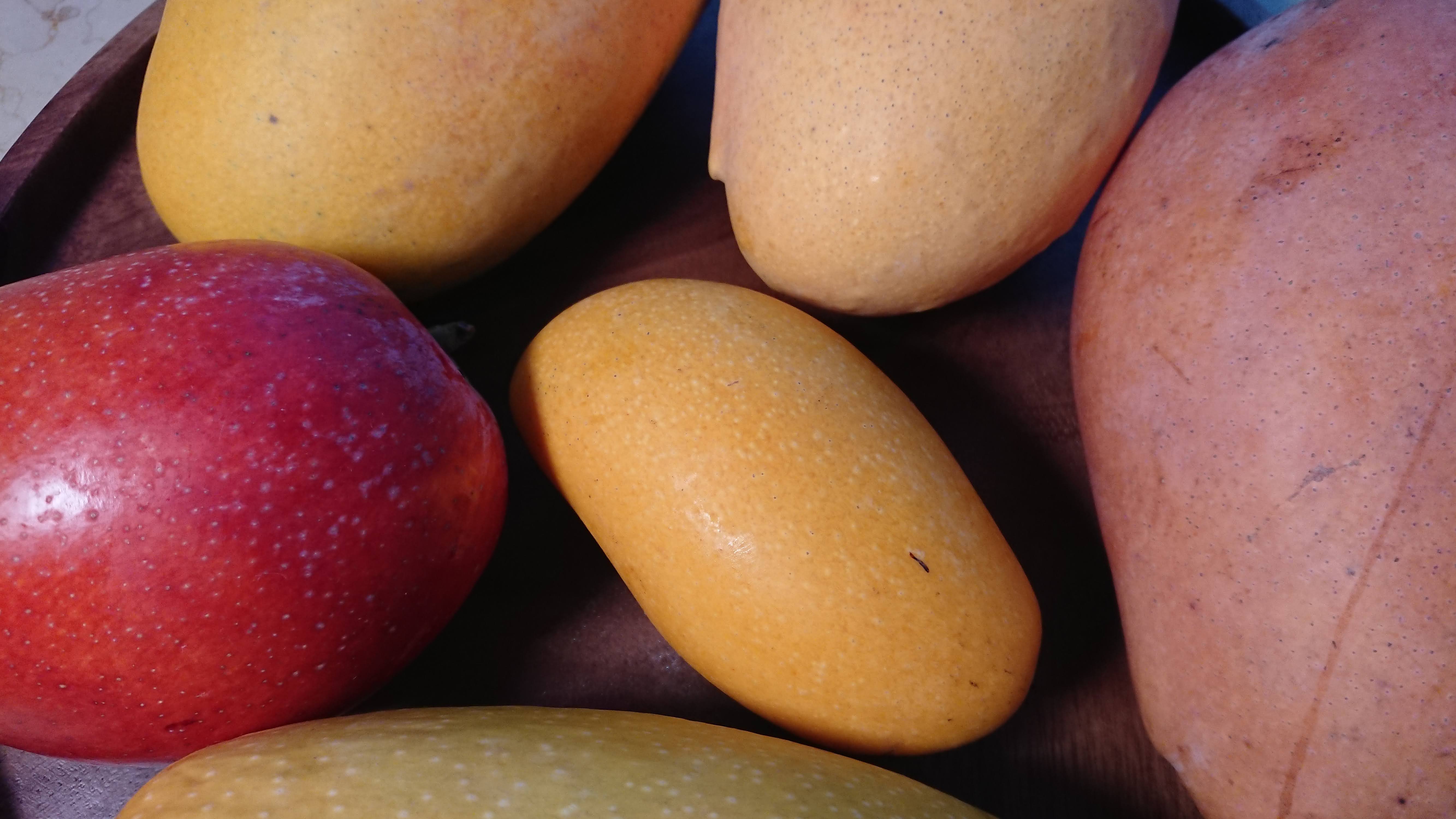 [食記] 在家的自助台灣芒果饗宴 - Taiwanese Mango Tasting at Home | Alan's Life and Travel