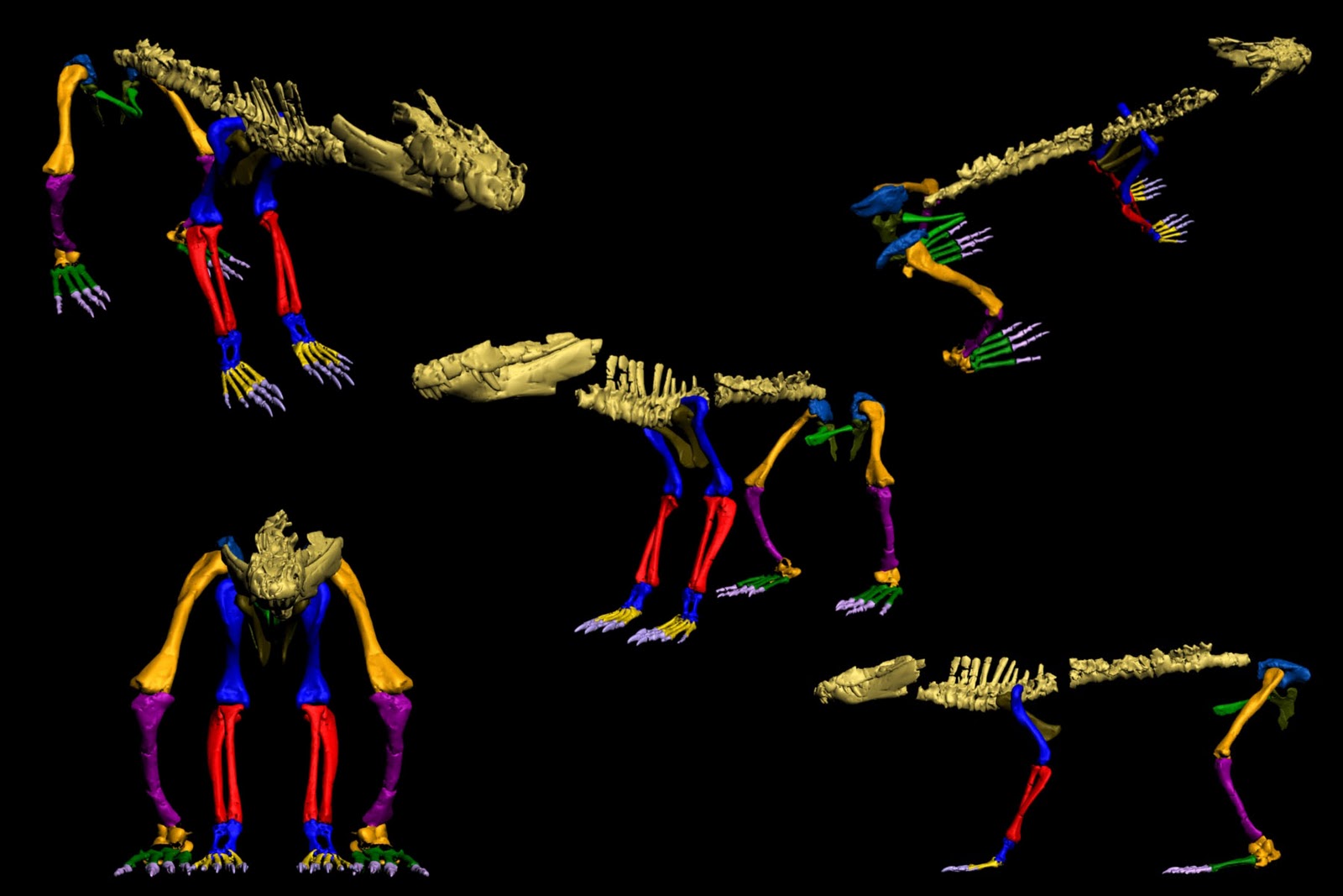 Paleo Arte Moderna: Ciclo de projetos: Reconstrução e animação em 3D do ...