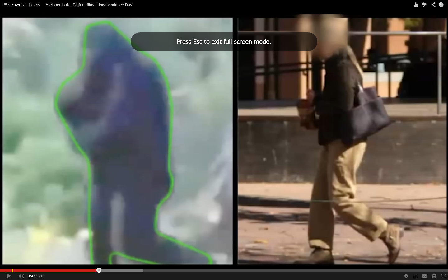 Undebunking Bigfoot: Highly Probable, Possible, Inconclusive, and ...