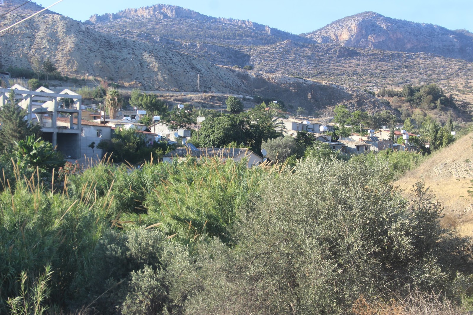 Biodiversity of Cyprus by NGO Protection of the Natural Heritage and ...