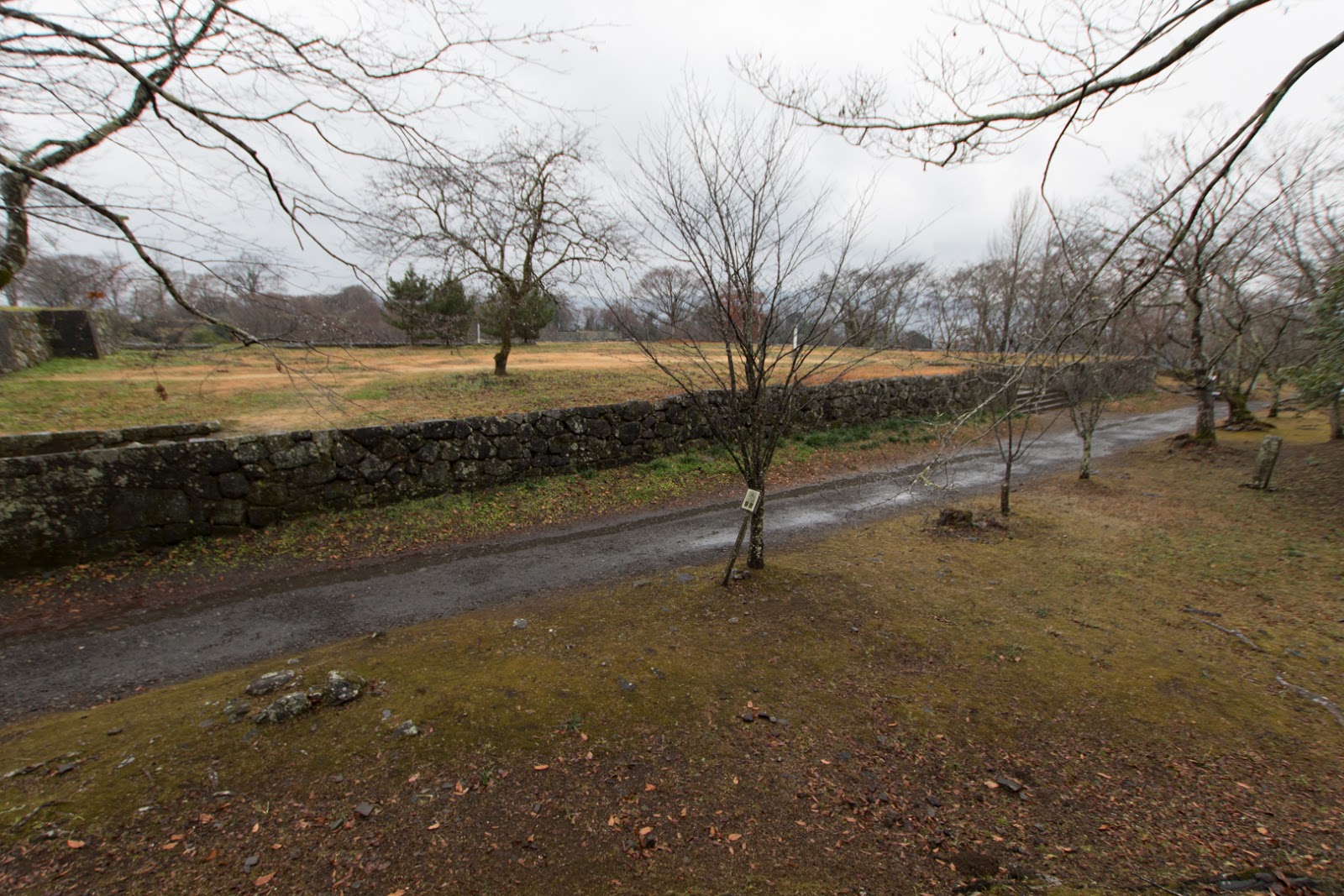 Oka Castle -Fierce battle for fate and fame (6) -Brave general and ...