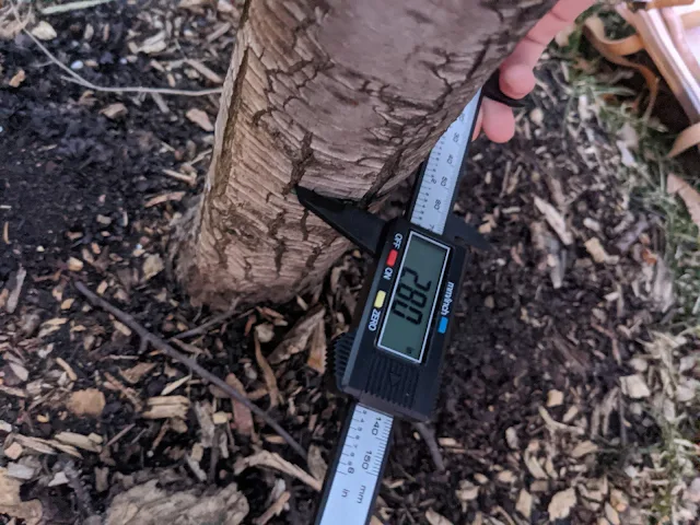 2 More Tree Caliper Measurements: Front Yard