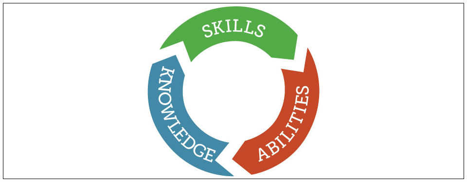 Brilliant Leader: Competency matrix