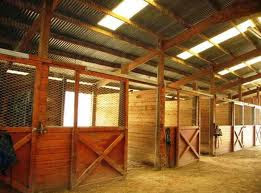 EL CABALLO CRIOLLO COLOMBIANO: RECOMENDACIONES PARA UN ESTABLO