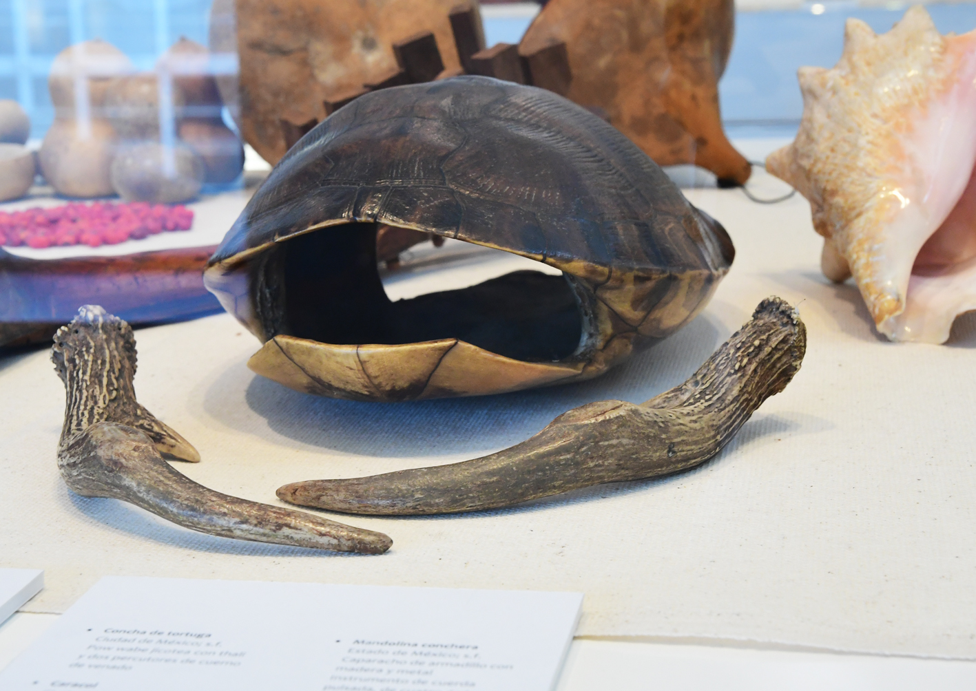 Héroes, Villanos y Artistas desconocidos... de la historia de México ...