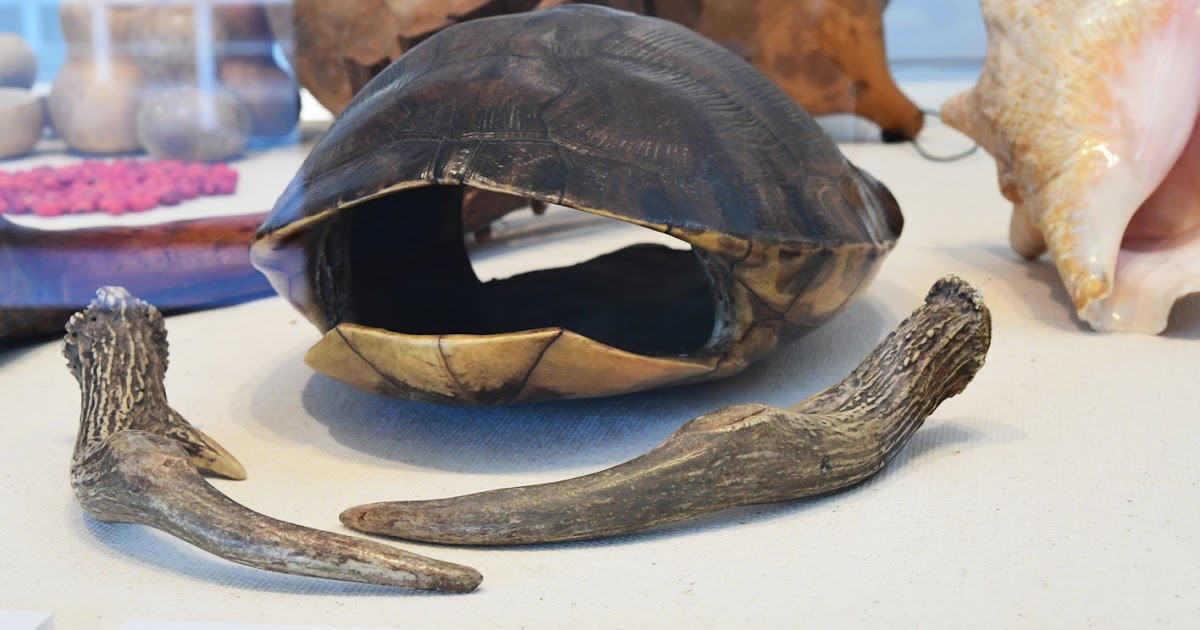 Héroes, Villanos y Artistas desconocidos... de la historia de México ...