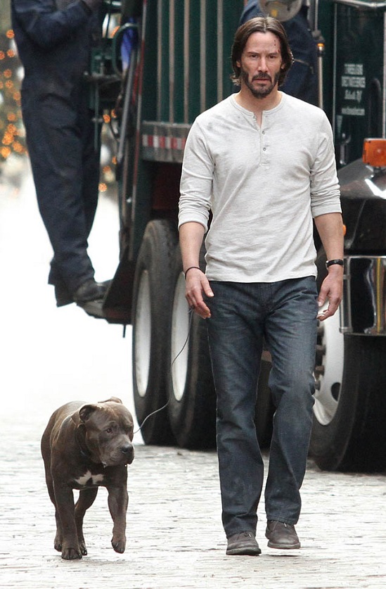 VJBrendan.com: Dudes With Dogs... Keanu Reeves