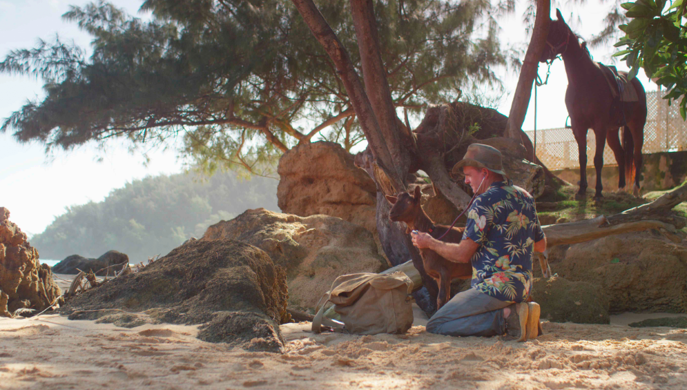 Susan's Disney Family: Nat Geo Wild presents Aloha Vet, premiering on ... Susan's Disney Family: Nat Geo Wild presents Aloha Vet, premiering on ...