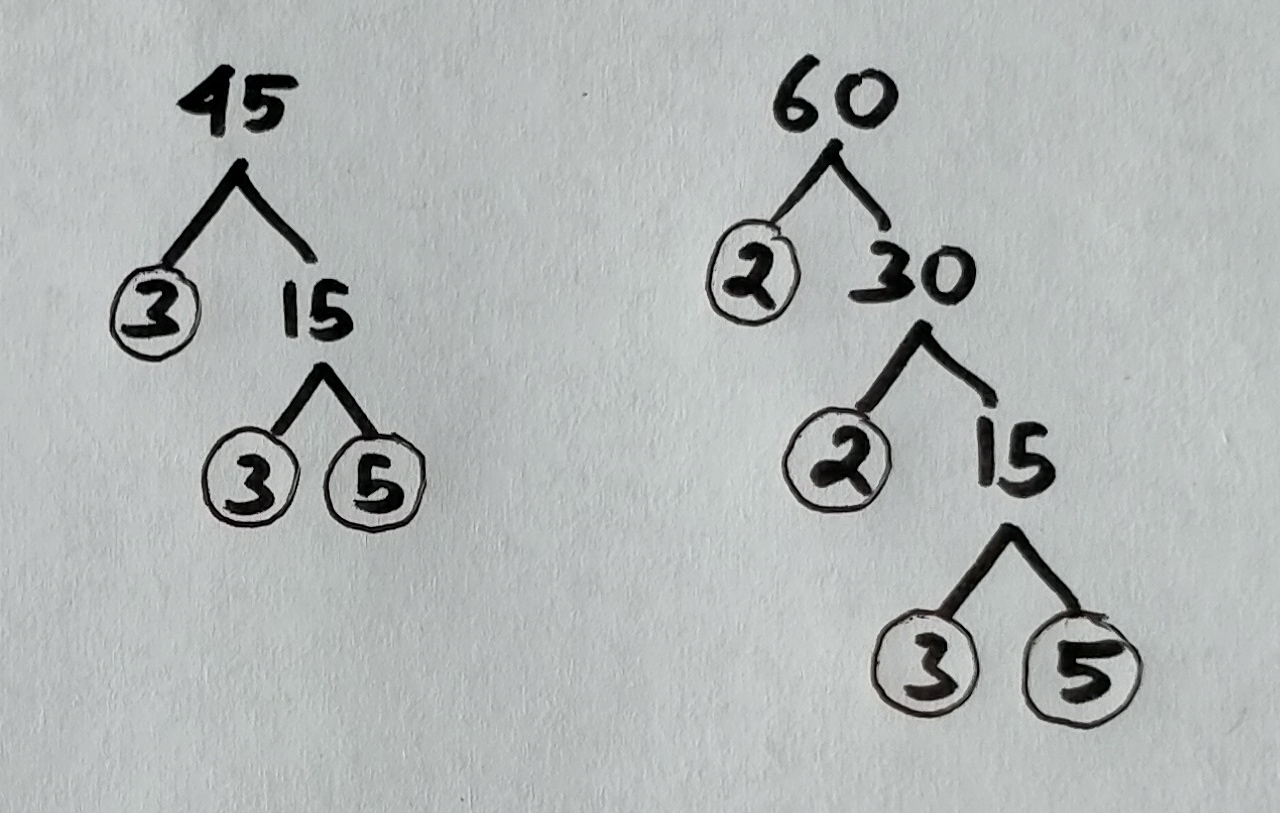 FPB dan KPK dengan Pohon Faktor dan Sengkedan - Soal SD Ter-Update