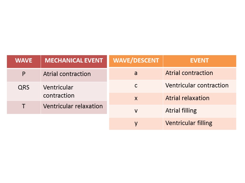 CVT Mohd Farid: Physiology Of The Heart-Cardiac Cycle