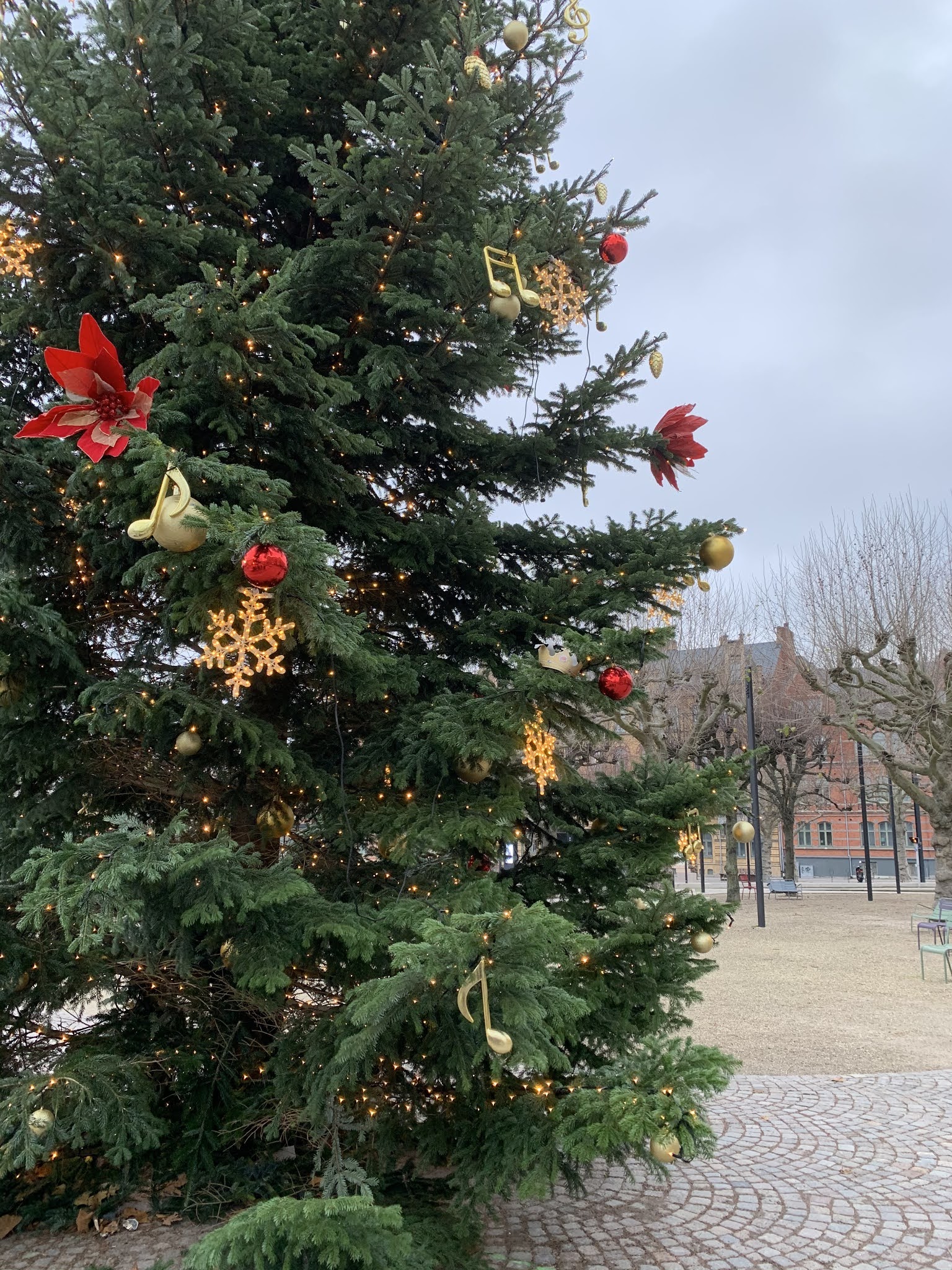 Destination Lund Sweden: Tourism, history and culture: Christmas trees ...