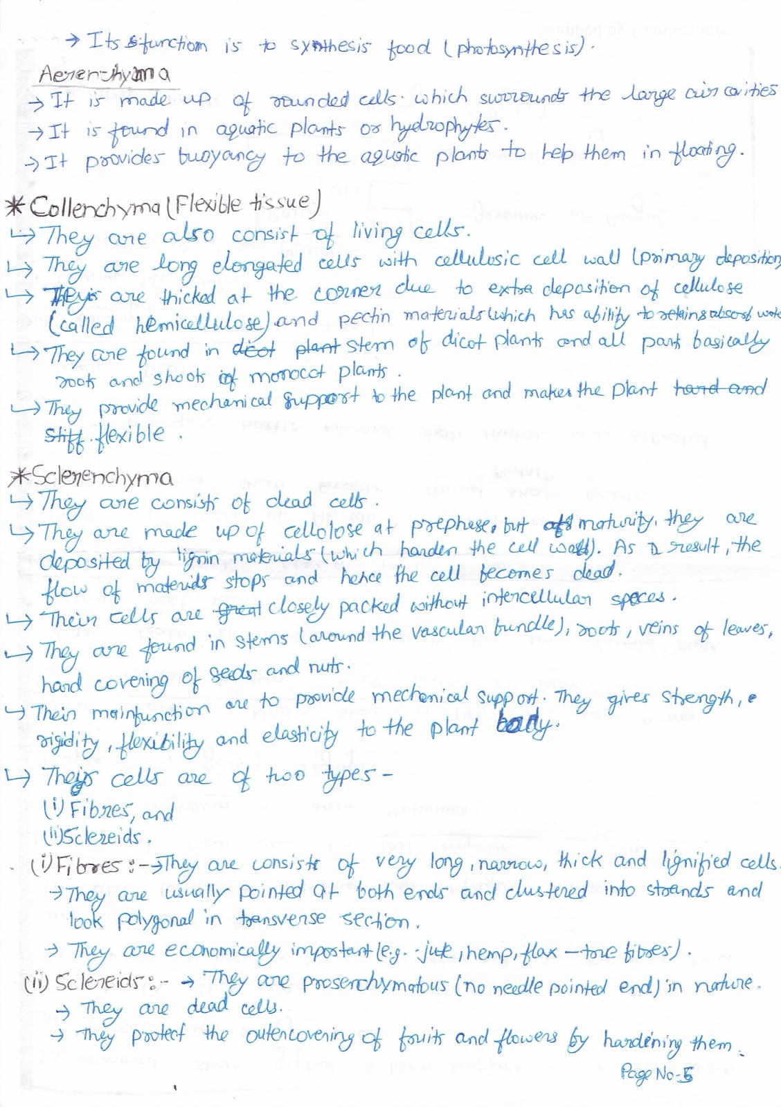 Class 9 Tissue Chapter Notes 1st part ( Plant Tissue )