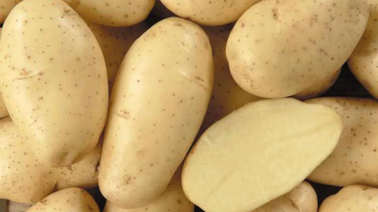 Best fresh - Mejor fresco!: Argentina: Aprueban el primer transgénico ...