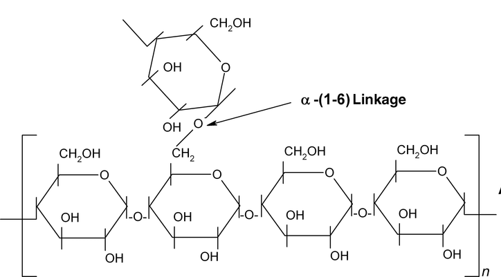 Biomolecules-Carbohydrates | UK-Sir-Notes | Biomolecule-1 - Bio Course ...