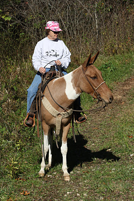 PairADice Mules: Trail Riding