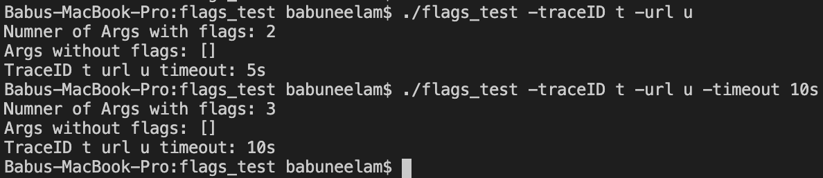 TechVolve: Building a Binary with arguments and options - flags package ...