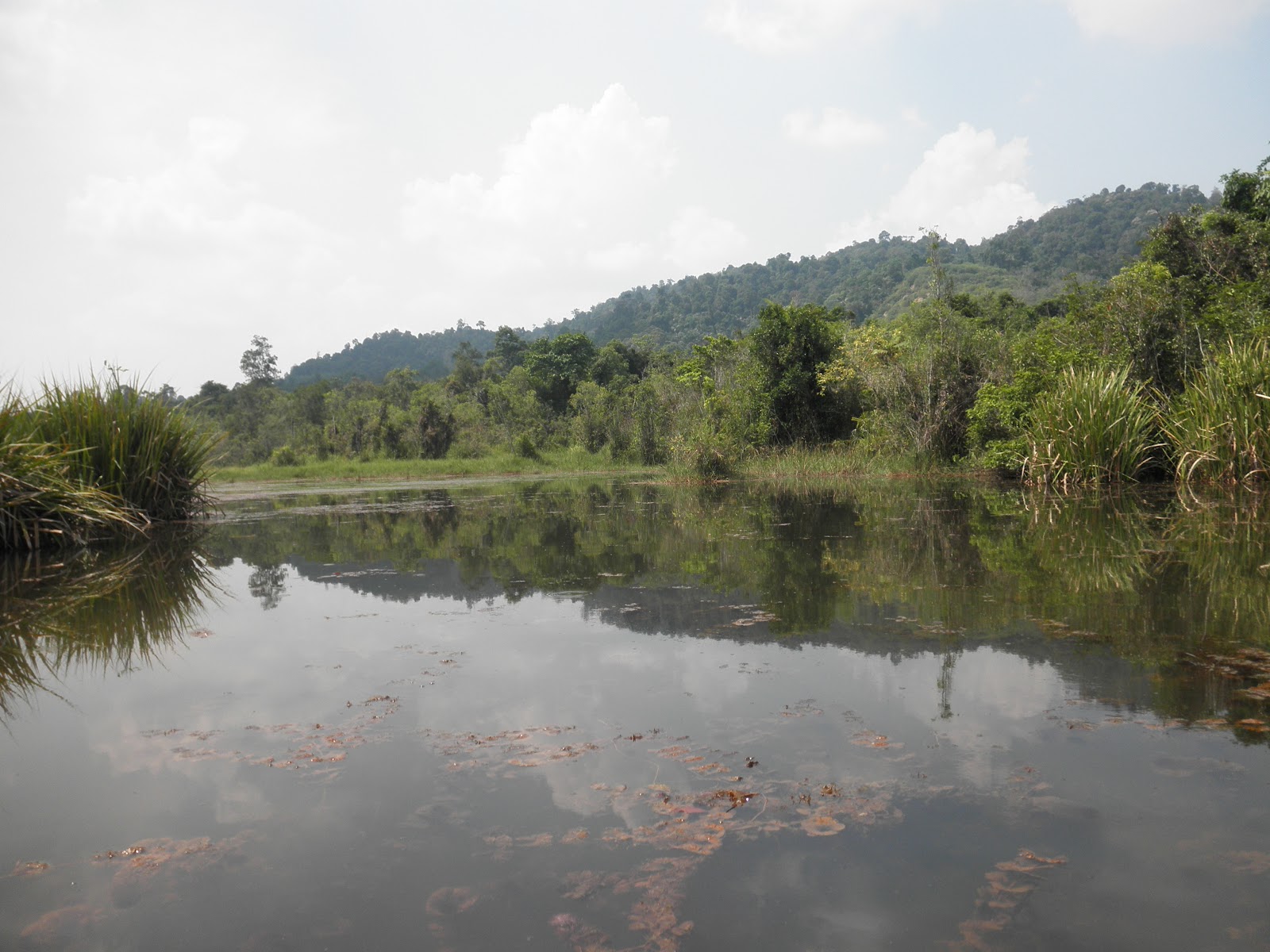 "Enjoy Travel & Fishing Life": Trip to Maran, Pahang.