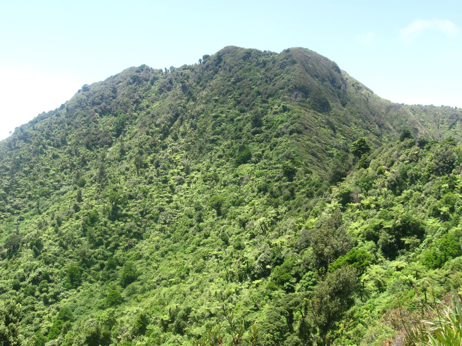 Don's Sausage Blog: Mt Karioi and chorizo