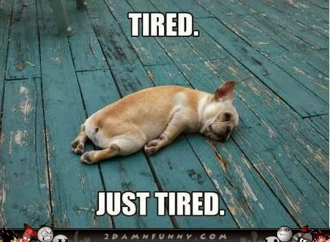 Running in Place.....and getting nowhere fast!: Out of Gas