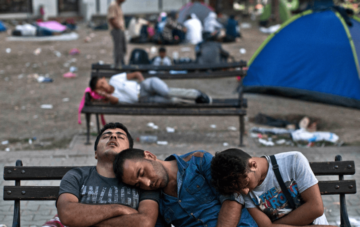 Derya Little. Islamas, imigracija ir yrantys krikščioniški Vakarai ...