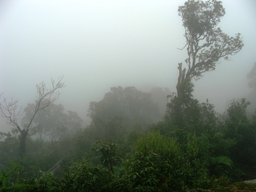 O's travelogue: Abode of clouds- Meghalaya! June'09