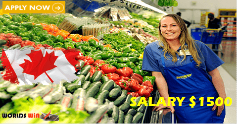 Job Vacancies Produce Clerk, Supermarket Canada