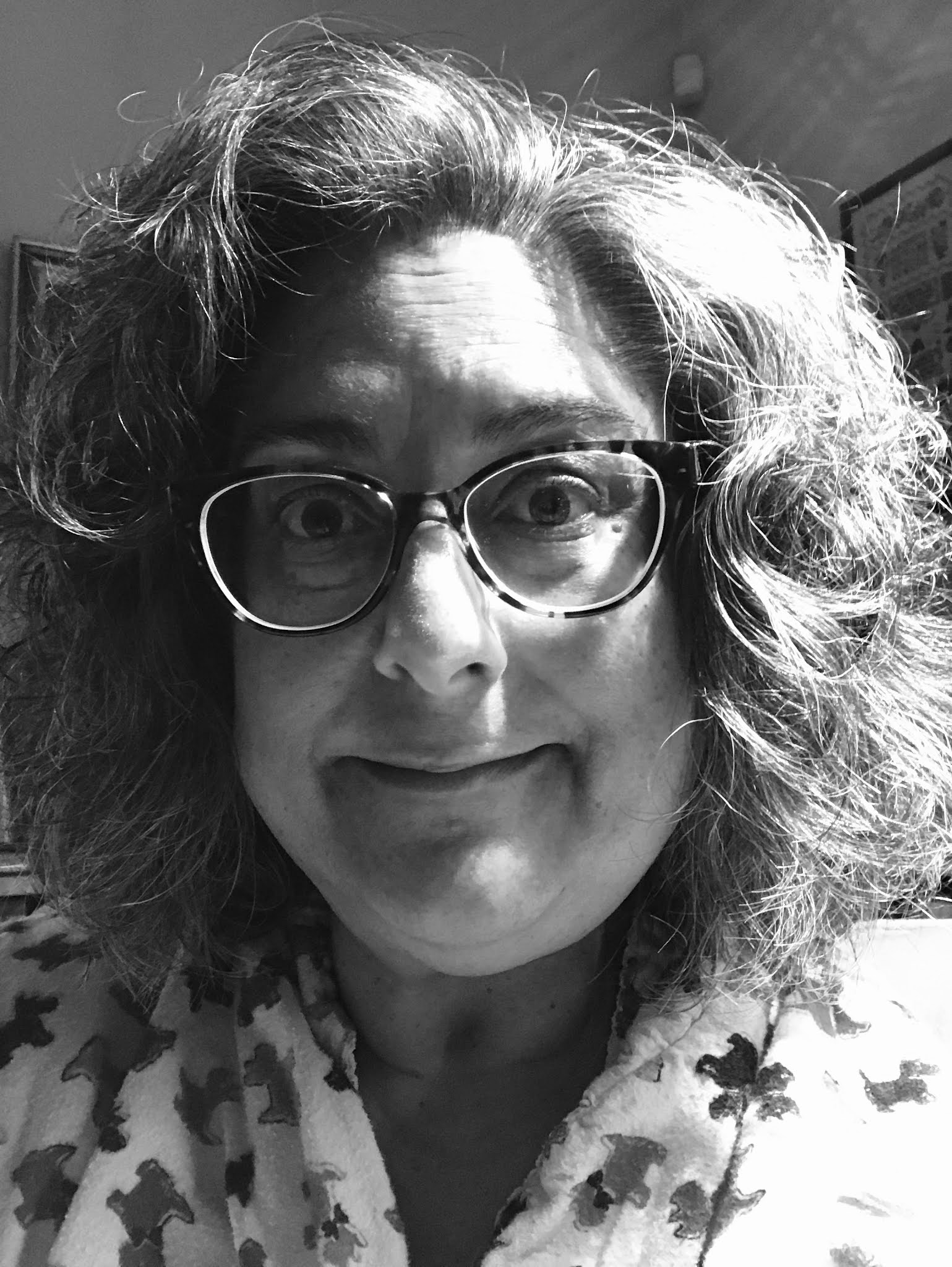 SPINSTER STITCHER: July 2020