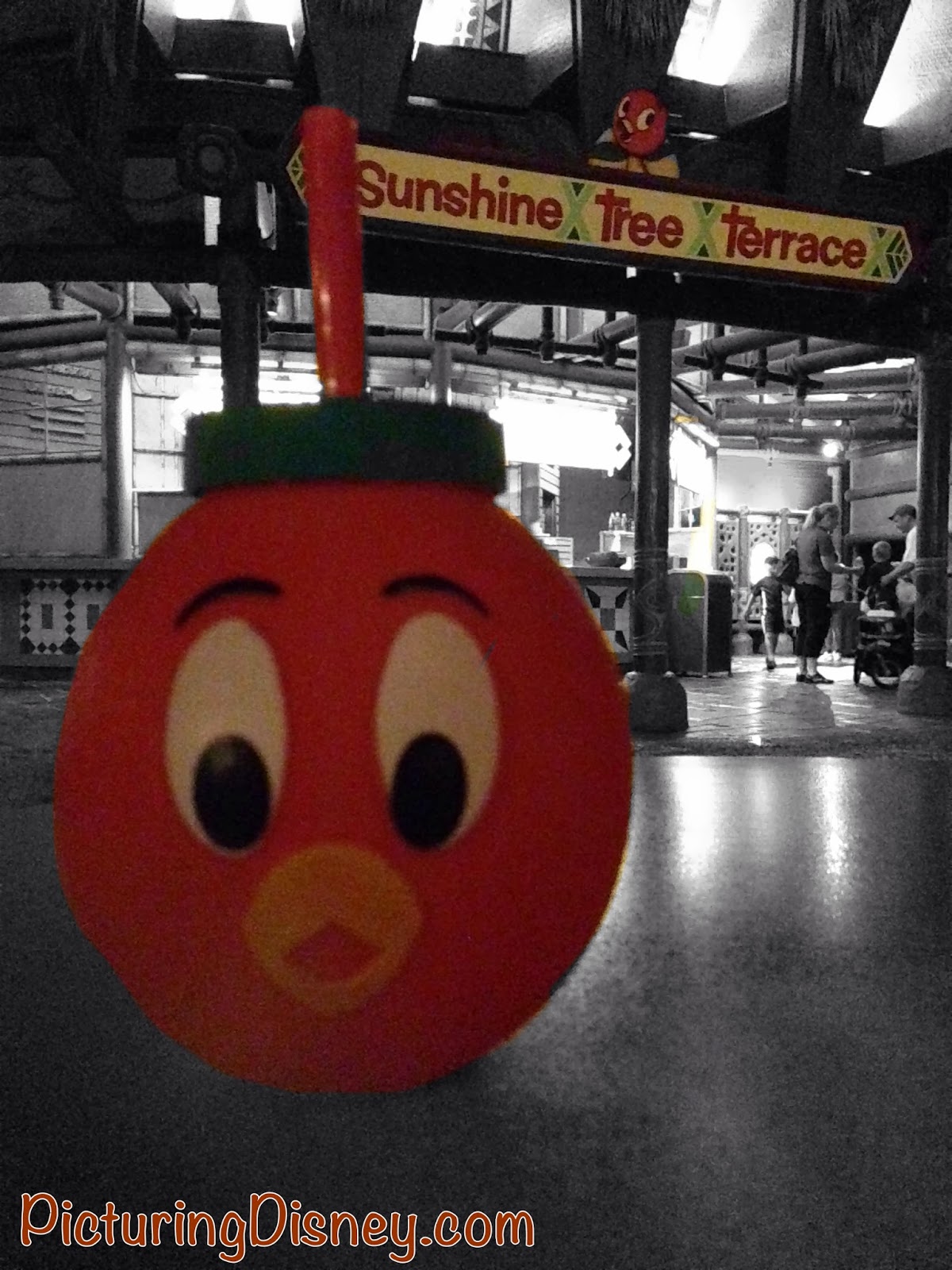 Picturing Disney: Sunshine Tree Terrace