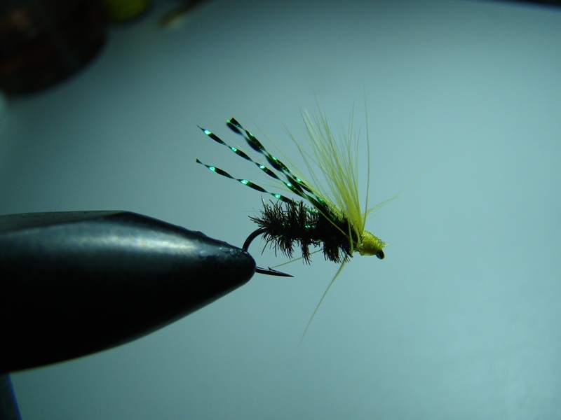 Pescuit cu musca artificiala: Taparina CLEAN