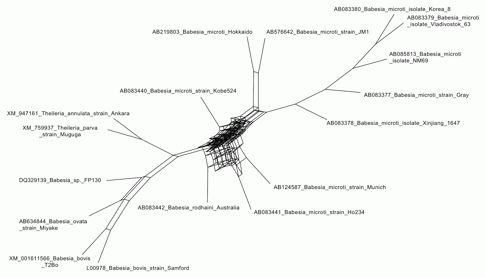 The Genealogical World of Phylogenetic Networks: We should present ...