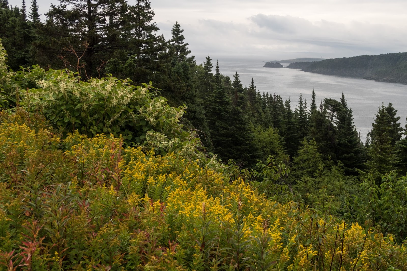 Eric's Hikes: East Coast Trail Day 2: Chance Pond River to South Cape ...