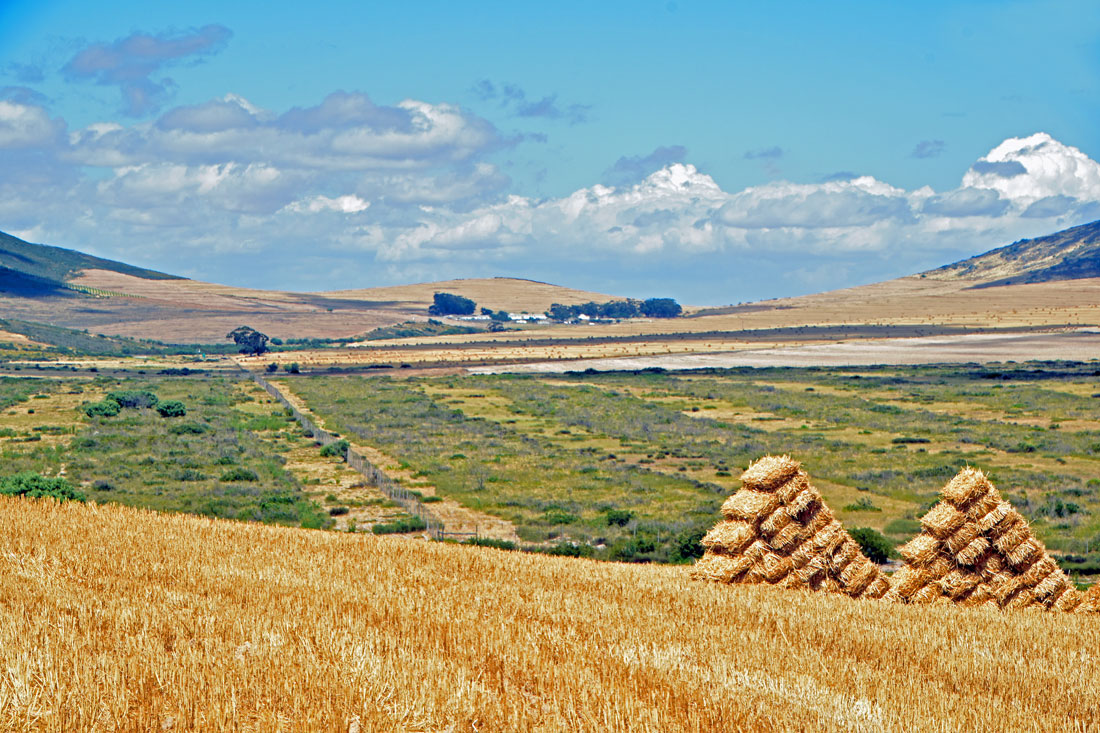 .: Darling Wine Visits 3. Groote Post