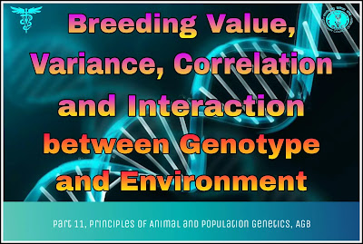 Breeding Value, Variance, Genotype-Environment Correlation and Interaction.