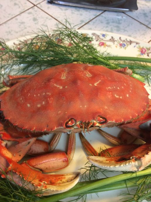 Where the Heck is Marinduque?: Dungeness Crab and Manila Clams for Our ...
