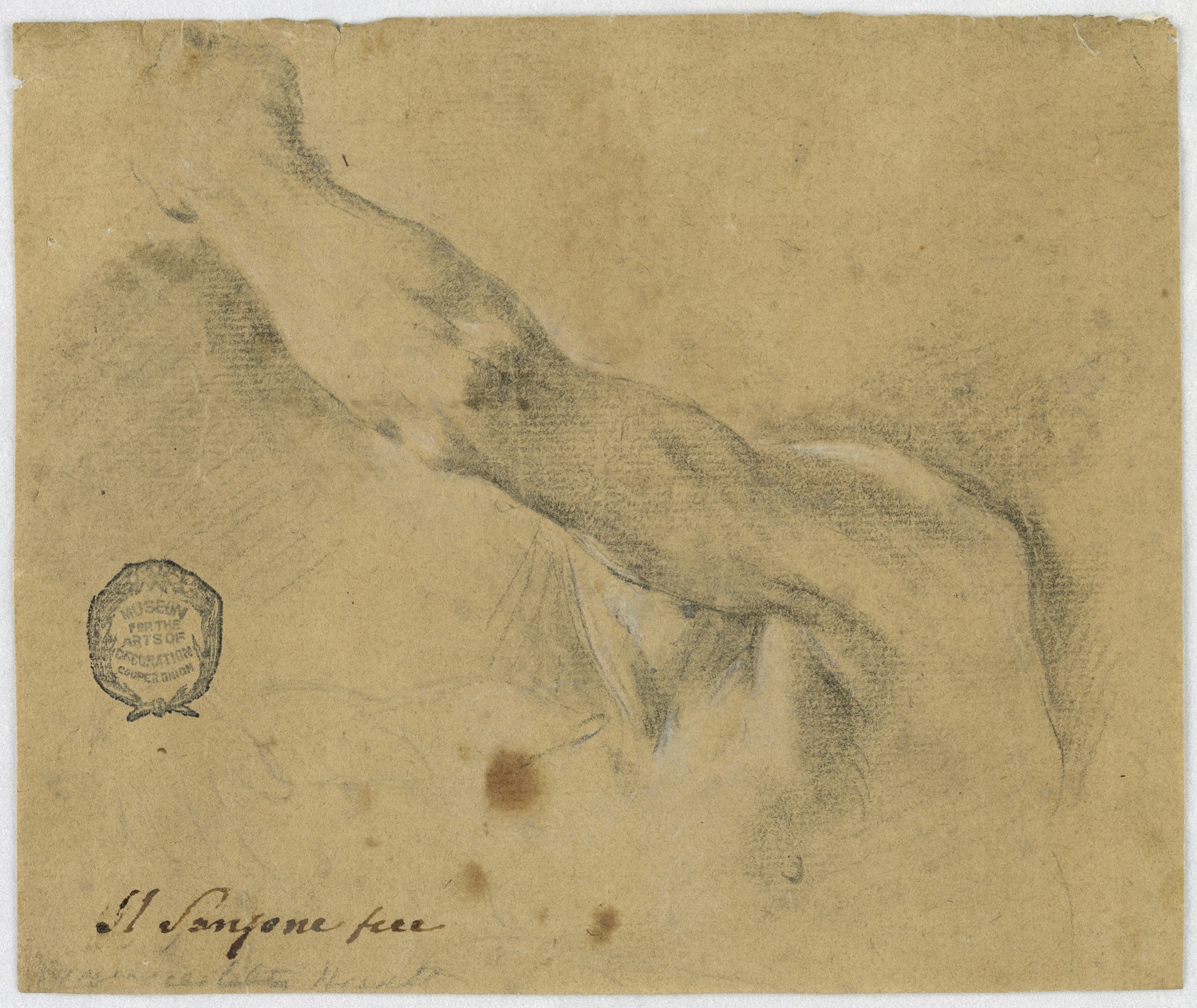 Spencer Alley: Anatomical and Figure Drawings (1700-1900)