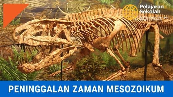 Peninggalan Zaman Mesozoikum Lengkap & Kehidupannya - Pelajaran Sekolah