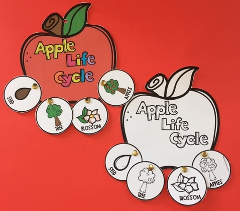 Apple Life Cycle Mobile Craft ~ Preschool Printables